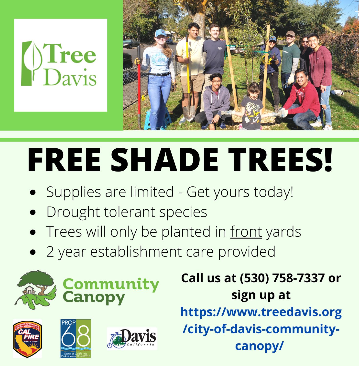 Free Trees for Davis Homeowners - The Dirt